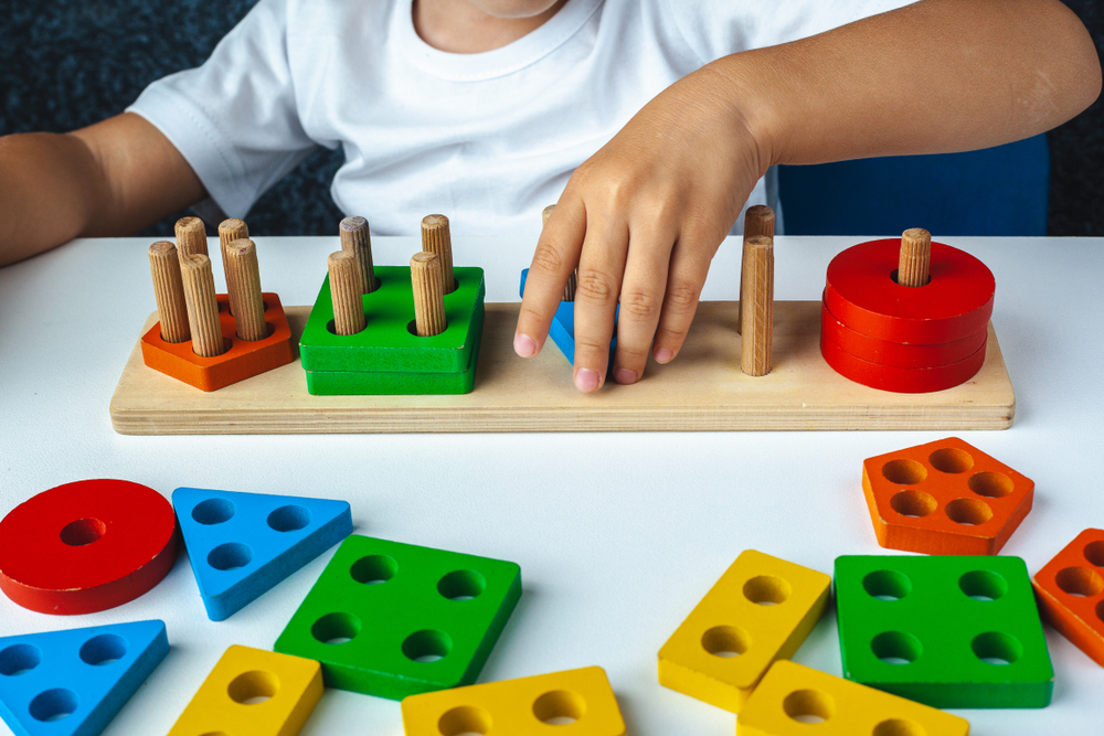 Understanding Early Childhood Education Programs - Hidden Benefits ...